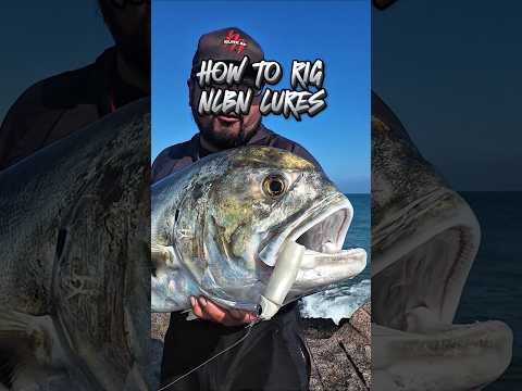 How To Rig NLBN Fishing Lures | NLBN Paddle Tail