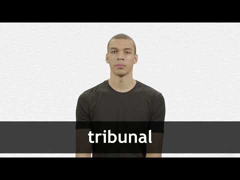 TRIBUNAL 释义 | 柯林斯英语词典