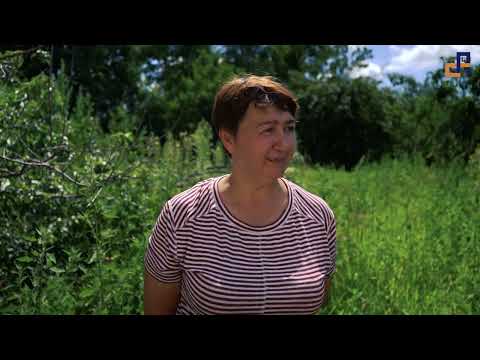 The story of Oksana’s family from Makariv