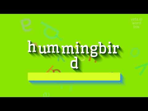 HUMMINGBIRD - HOW TO PRONOUNCE IT? #hummingbird