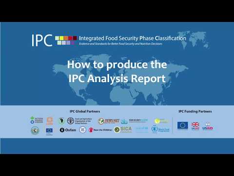 How to produce the IPC Analysis Report: the modular approach