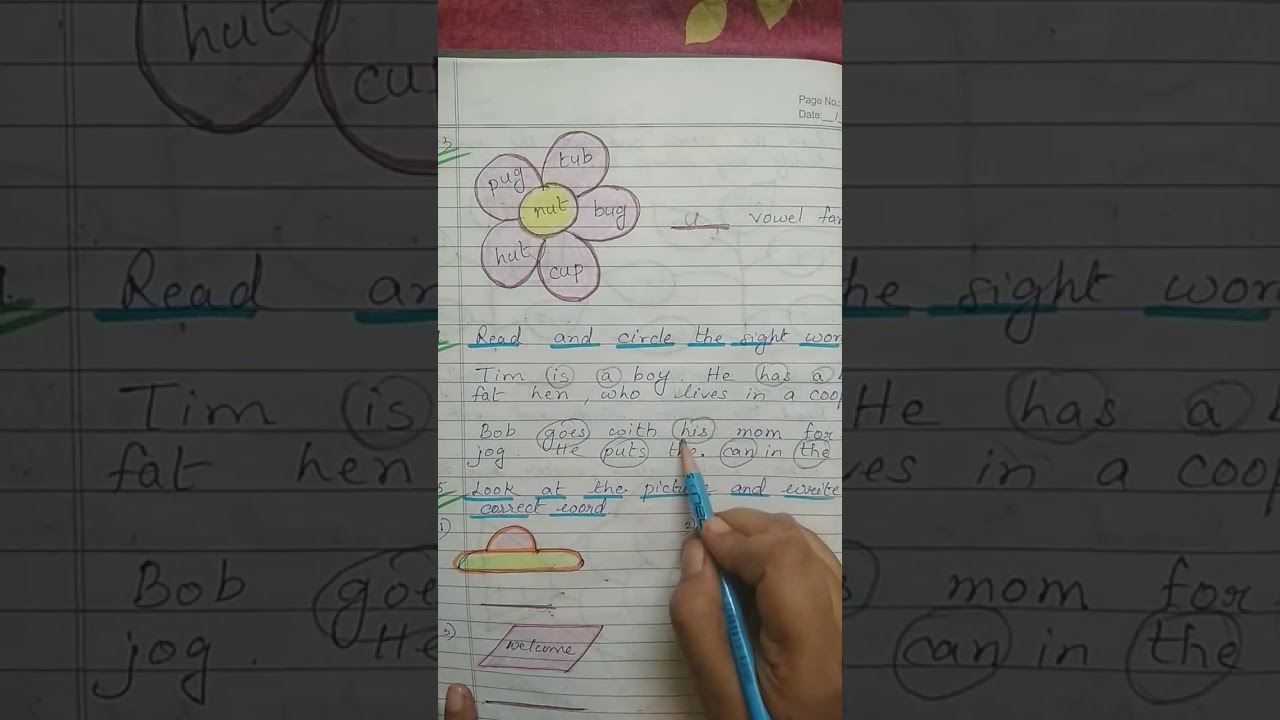 Sight words worksheets।cvc words worksheets
