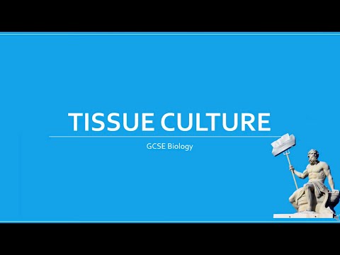 GCSE Tissue culture