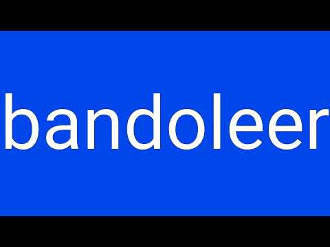 Bandoleer Definition & Meaning