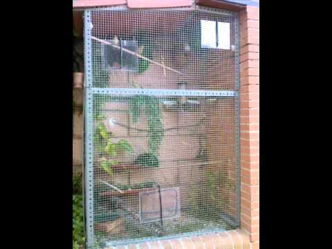 Jaulas caseras para aves - Imagui