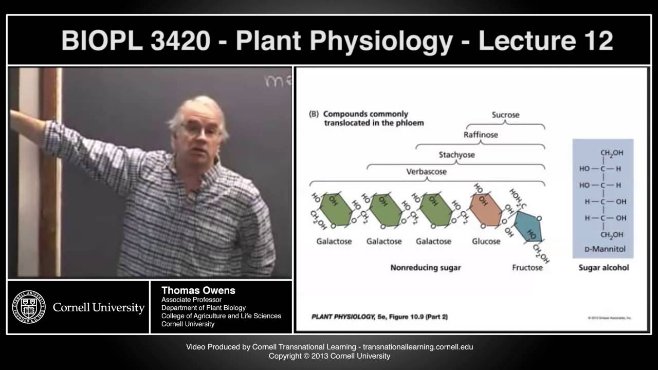 BIOPL3420 - Plant Physiology - Lecture 12