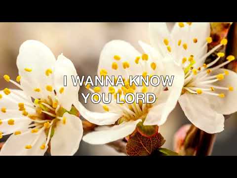 I Just Wanna Know You Video
