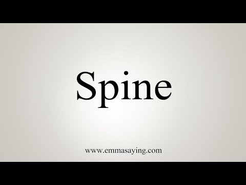 How To Say Spine