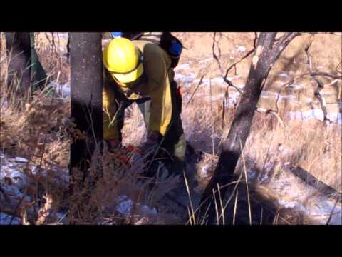 AmeriCorps NCCC Wildland Fire Fighting Field Day
