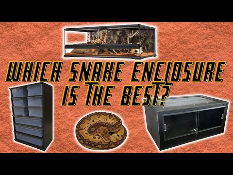 CONTROVERSIAL! The BEST Enclosure For BALL PYTHONS #reptiles