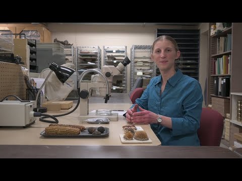 Floral Analysis: Plant Remains and Past Peoples