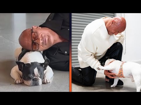 Dwayne “The Rock” Johnson Mourns His Beloved Dog “Hobbs” - 101.9 KINK