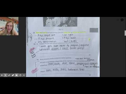 Going Over Ch. 2 study guide: Learning Outcomes E,F,G,H,I