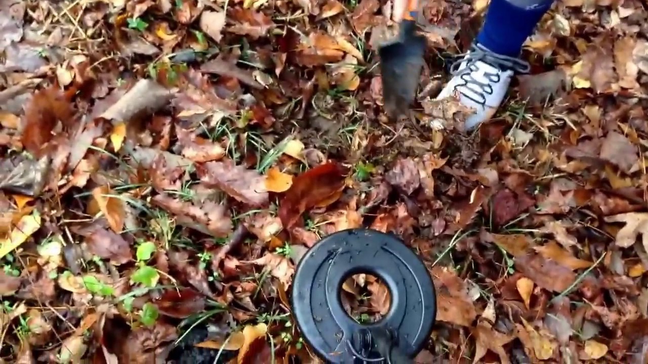 Review of the Bounty Hunter Legacy Metal Detector