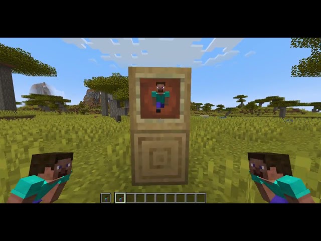 Animated Player Totem (1.21.5) Minecraft Texture Pack