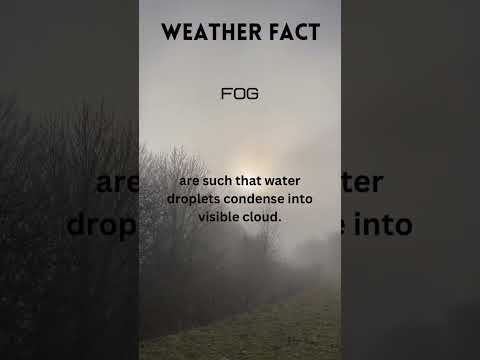 Foggy days. #foggy #weather #fog