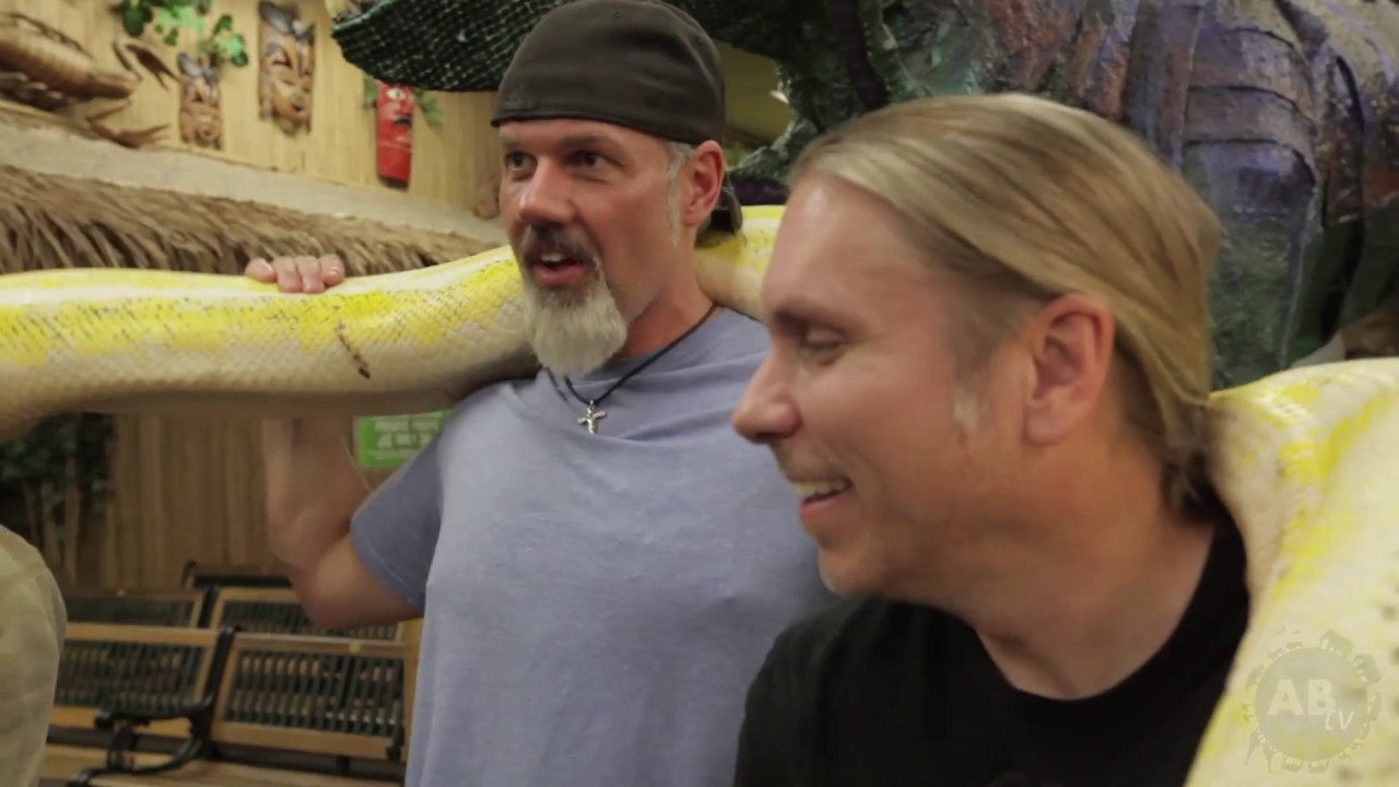 When Big Snakes Bite! : SnakeBytesTV - Ep. 411 : AnimalBytesTV