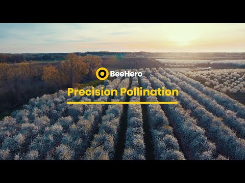 BeeHero - Israeli Startup | Startup Nation Finder