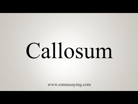 How To Say Callosum