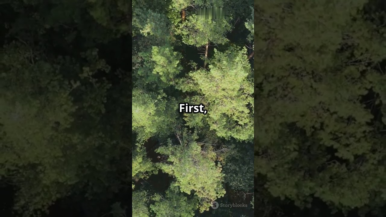 #sql  Find Second Highest Salary Easy Solution. #datascience #programming  #coding  #sqltips