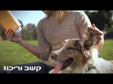 קמפוס ברושים - כלבנות טיפולית (גירסא מקוצרת)