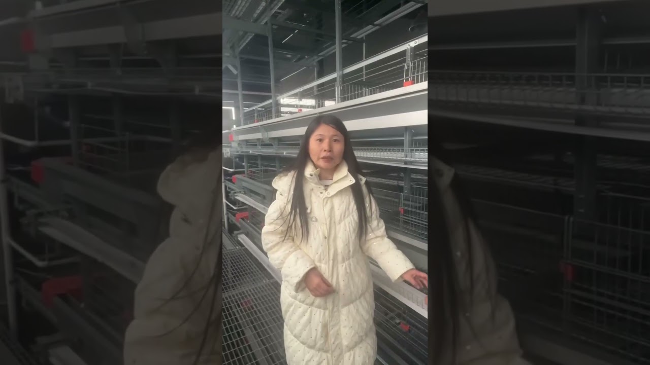 egg protection board