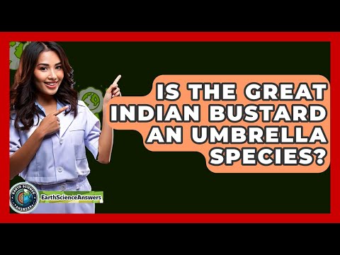 Is The Great Indian Bustard An Umbrella Species? - Earth Science Answers