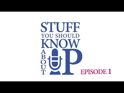 Stuff You Should Know About IP - Episode 1