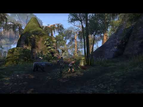 ESO Fashion | Stonelore Split (Elder Scrolls Online)