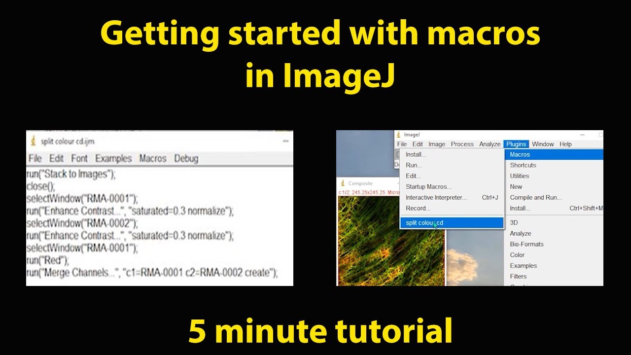 Getting started with macros in ImageJ