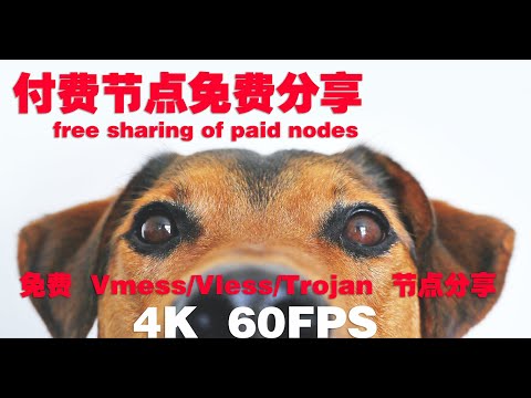 free sharing of paid nodes #67 (2021) | v2ray Fast free node | CC subtitles | top | 4K 60FPS | vmess