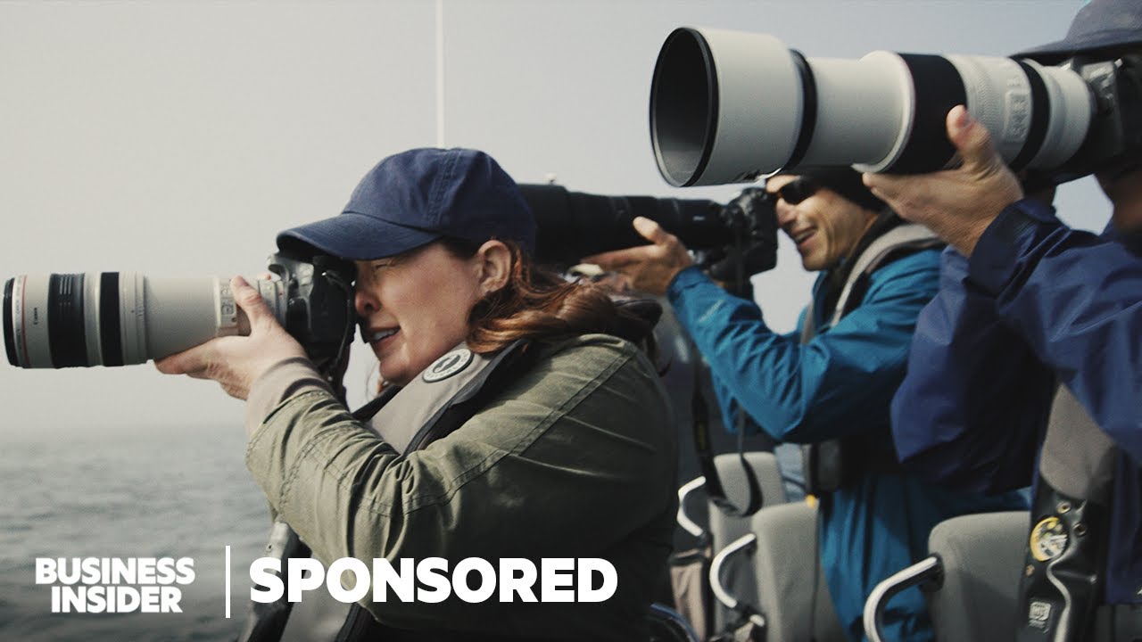 Go Whale Watching In Monterey, California, With Leading Conservationists | Business Insider