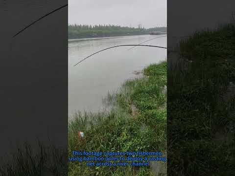 Ancient River Fishing: Teamwork Net Casting Technique Revealed!