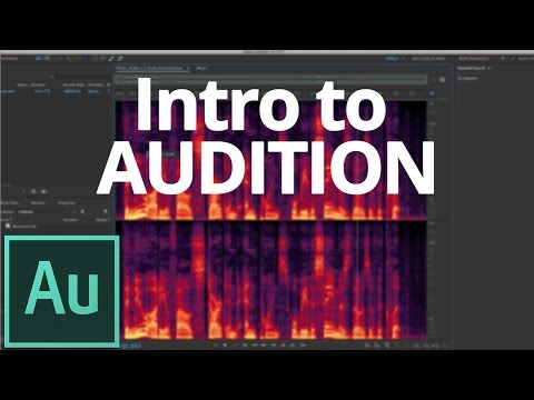 Intro to Audition - Premiere workflow đź’»