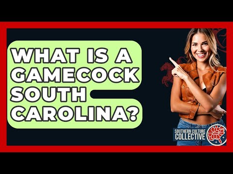 What Is A Gamecock South Carolina? - Southern Culture Collective