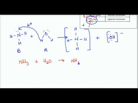 Conjugate Acid Base Pairs
