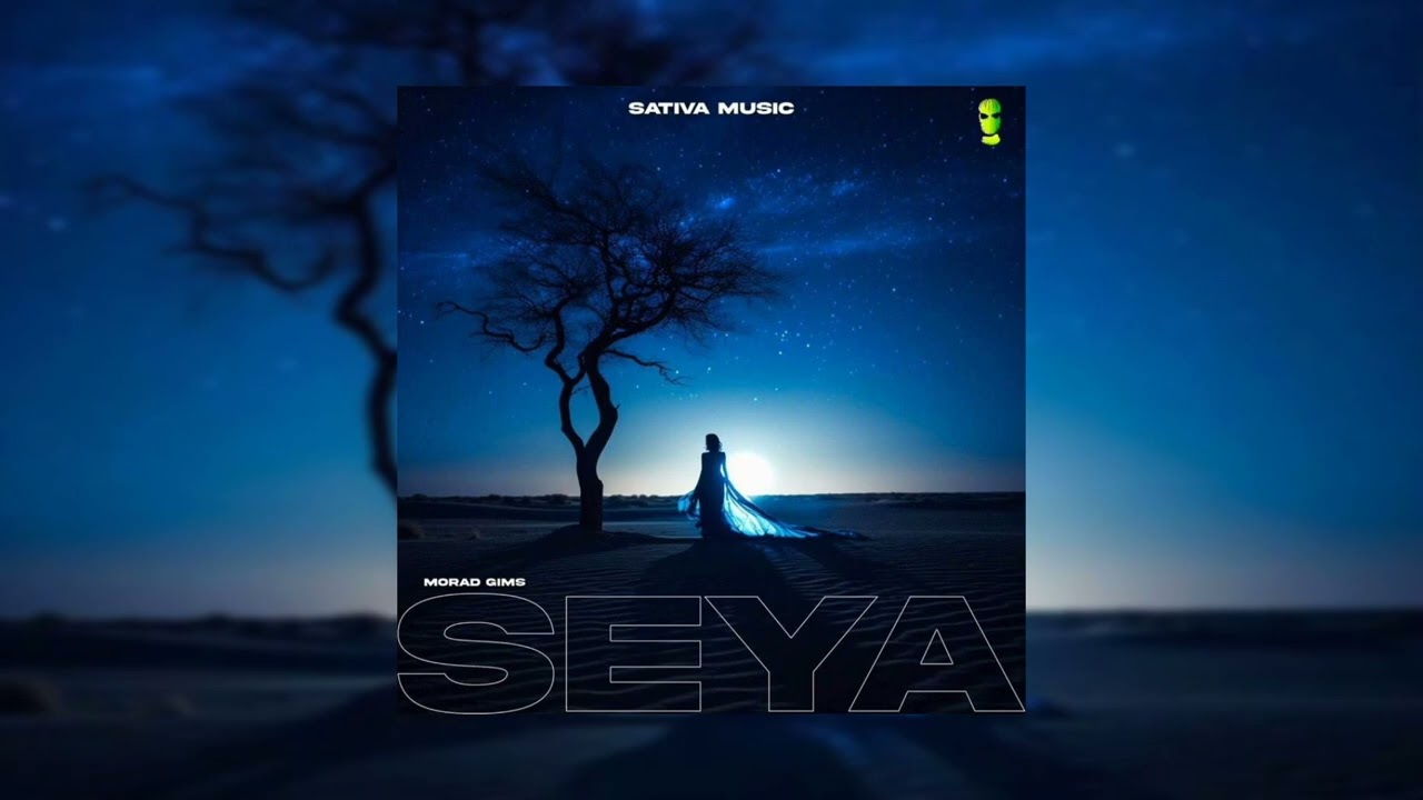 Morad - Seya (feat. GIMS) [Audio]