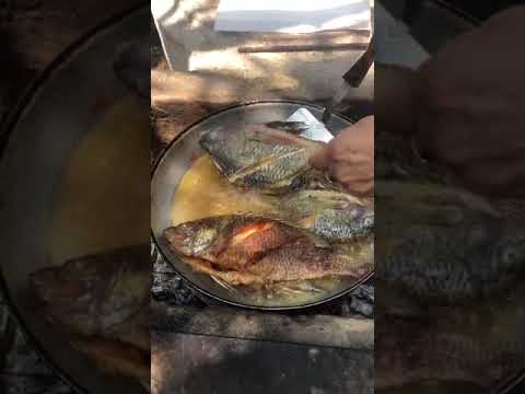 DELISIOSAS MOJARRAS FRITAS