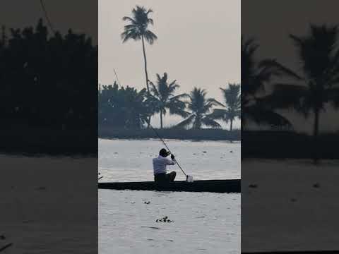 The Land of Backwaters | Alleppey | Wonder Gaze Tourism #Shorts #Allepey