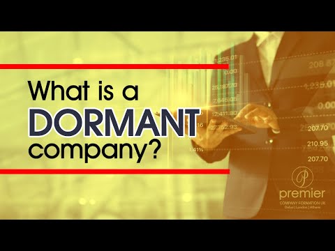 What is a Dormant company?