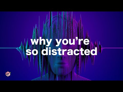 Why Your Brain Gets Distracted So Easily
