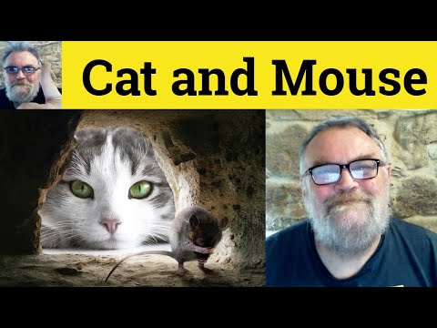 😎Cat And Mouse Meaning - Play Cat and Mouse Defined - Game of Cat and Mouse Examples - Cat and Mouse
