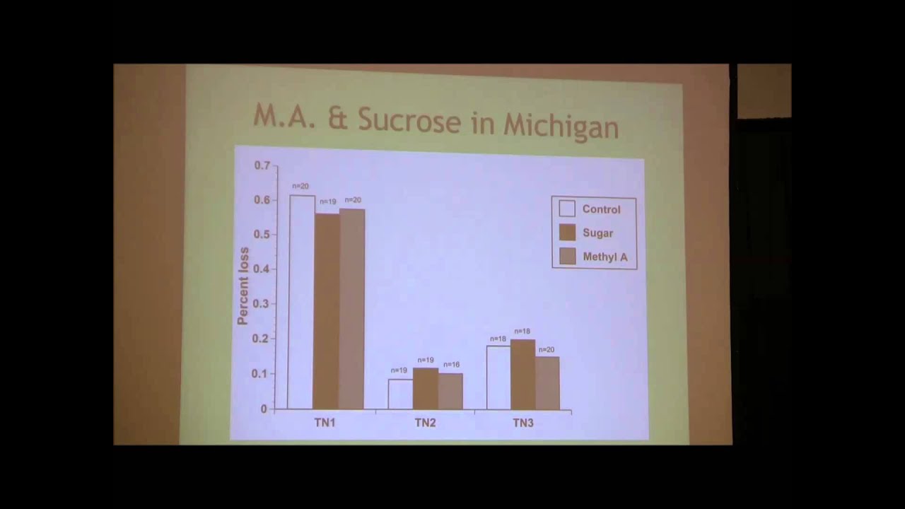 Deterring birds in blueberries: Testing three potential techniques