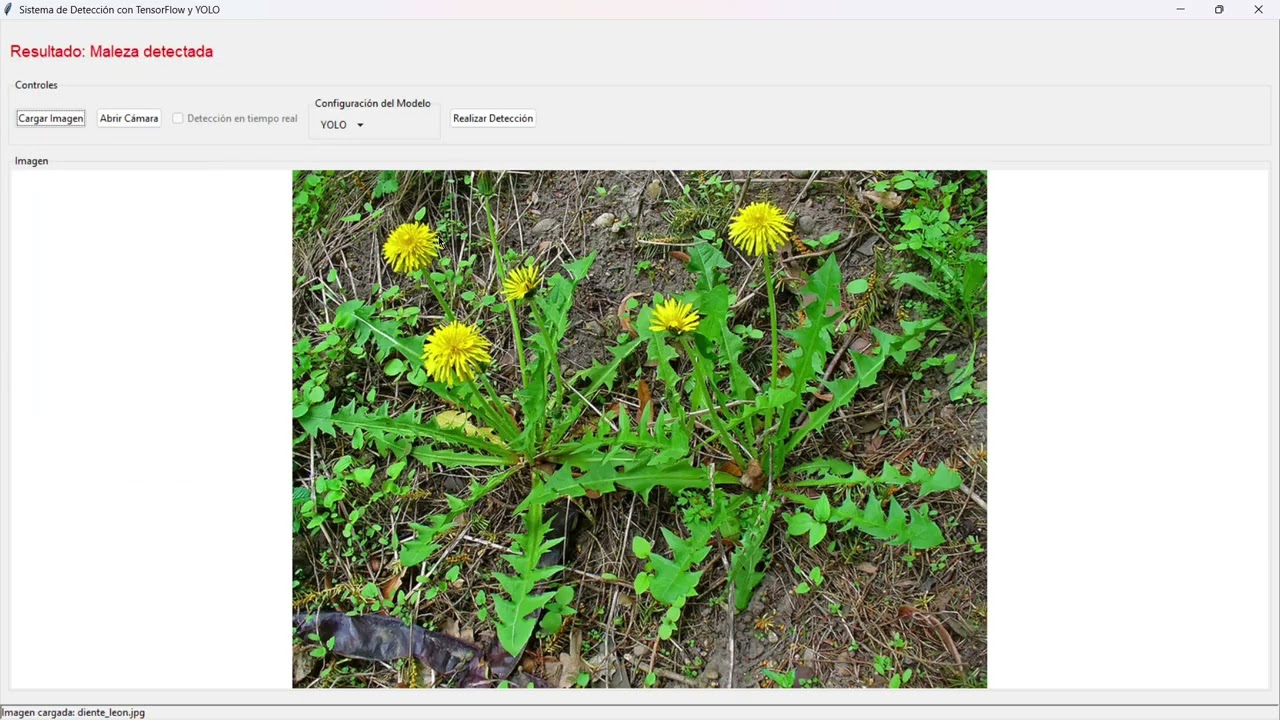 Weed-Detection Demonstration