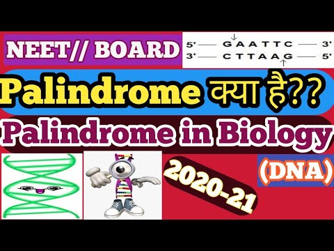 Meaning of palindrome with example?(हिंदी में) #palindrome sequence #palindrome in DNA by Dis4 study