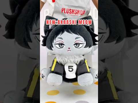 AKAASHI Meow Is Available Now! #akaashi #akaashikeiji #haikyuu #bokutoandakaashi #bokuto#plushshop