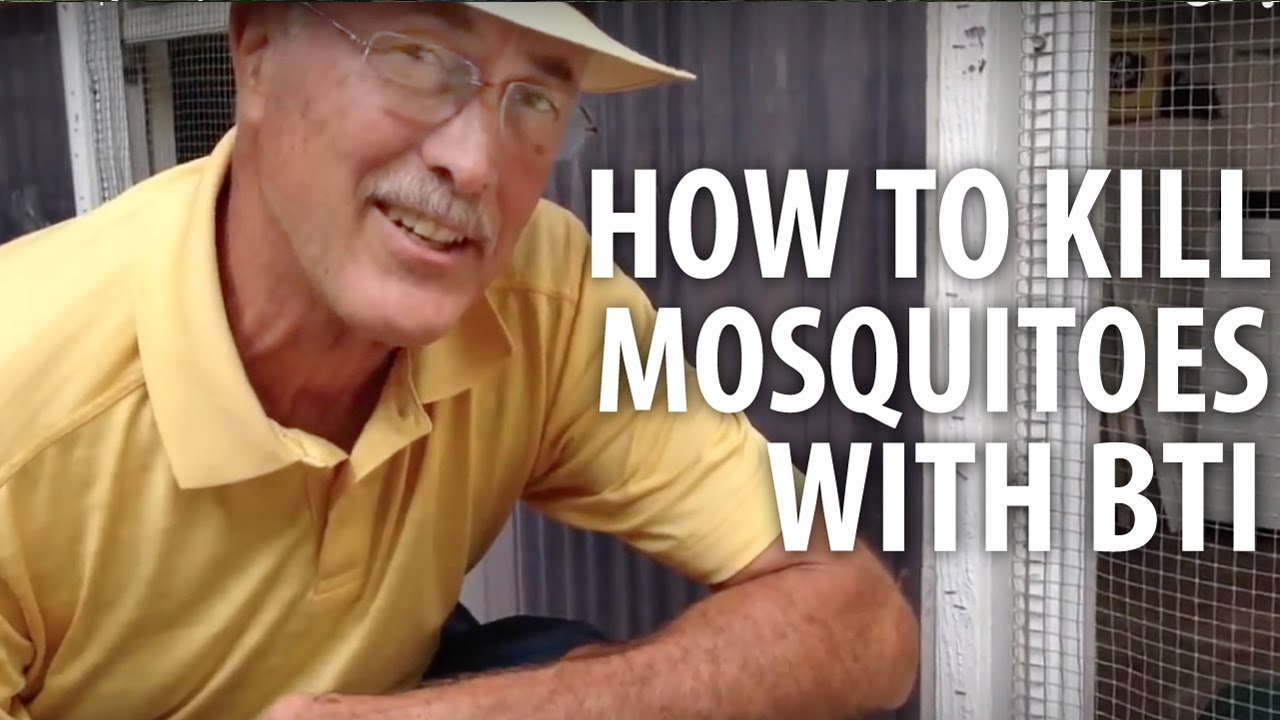 How to Kill Mosquitoes with Bti - The Dirt Doctor