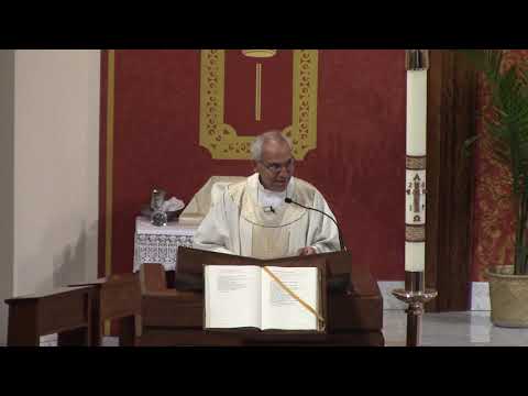 Fifth Sunday of Easter (Year C) - Fr. Hahn