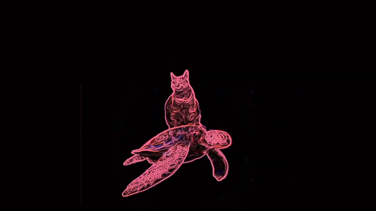 turtle and kitty ride gif. night.mode by CATURDAY MEOW