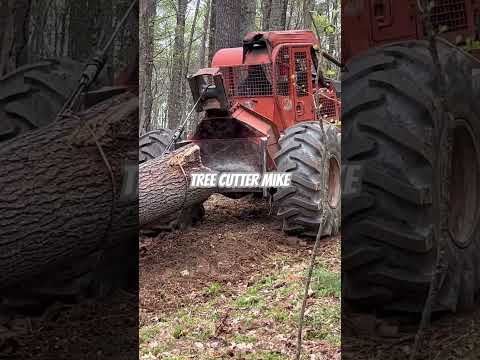 #valogger #timberjack #woodgrain #logging #oldschool #562xp #winching